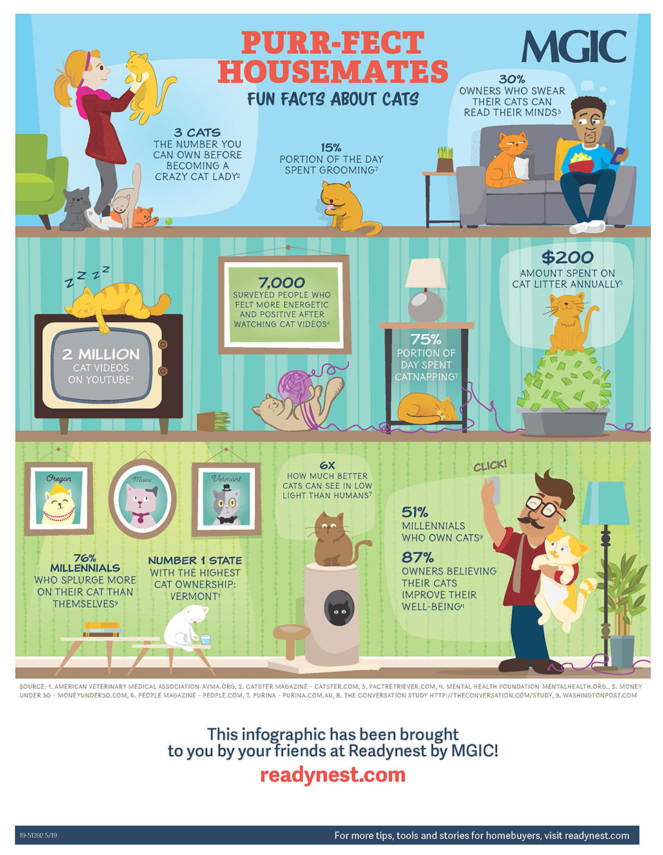 Infographics About Cats Animal Shelter Examples Infographic Template